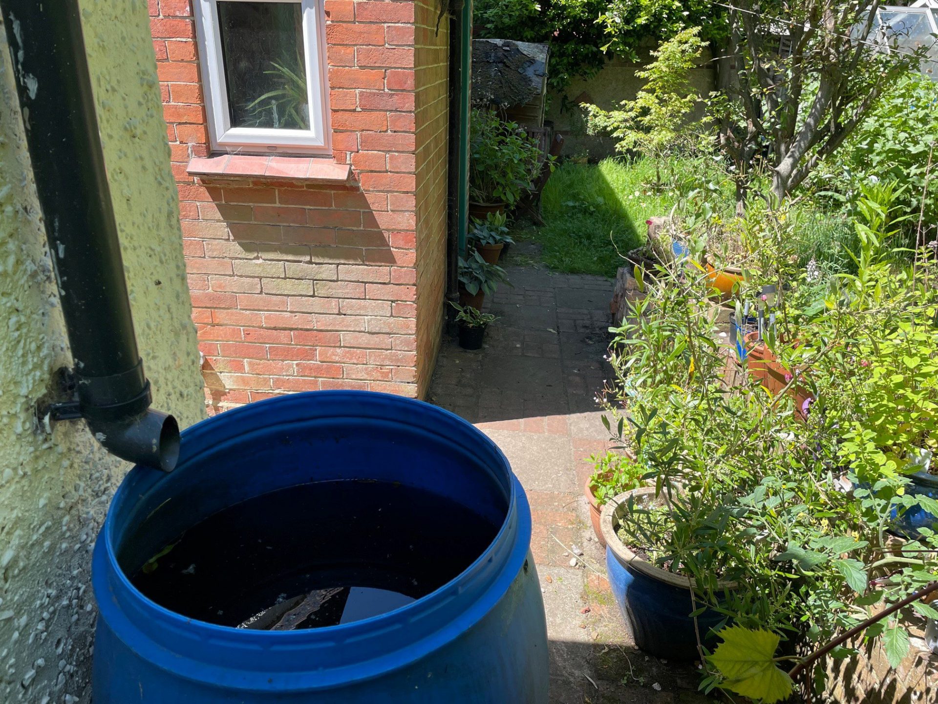 Water butts: an easy way to save water and enjoy your garden - Chinneck ...